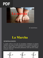 Tipos de Marcha | PDF | Sistema musculoesquelético | Enfermedades y ...