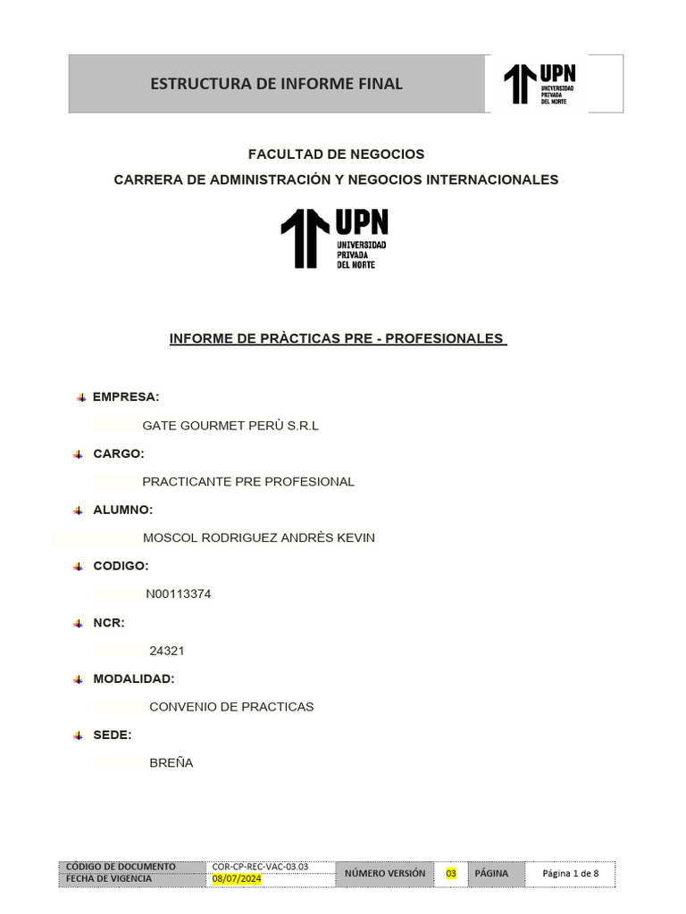 Estructura Informe Final PPP - Actualizado 2024 | PDF | Business