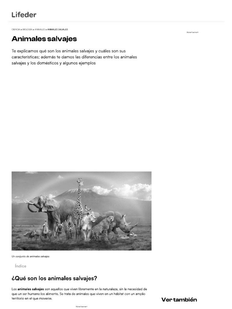 Los Animales Salvajes | PDF