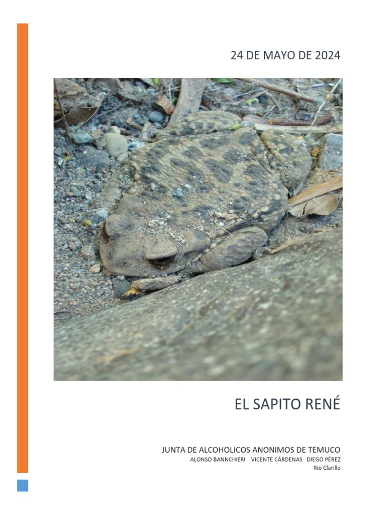 El Sapito René | PDF | Rana | Agua