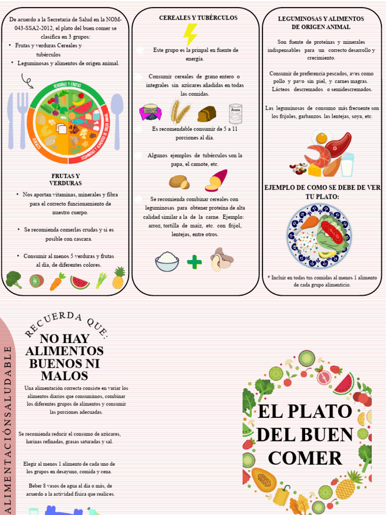 Guía de Alimentación Saludable y Balanceada | PDF | Alimentos | Cereales