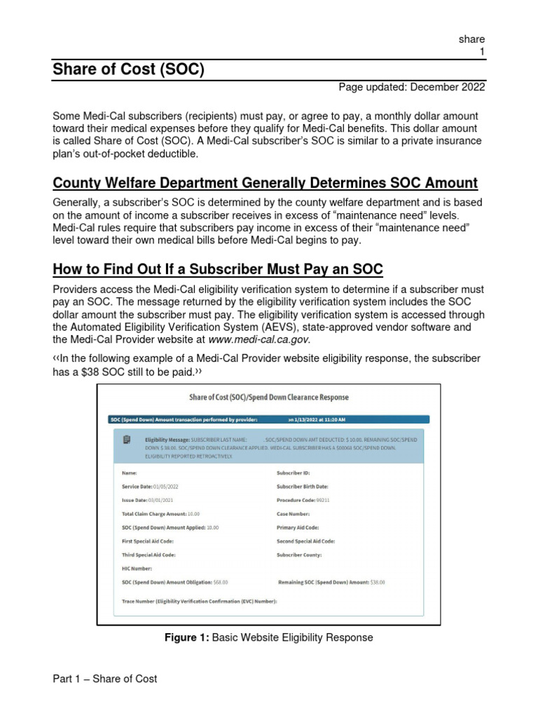 Understanding Medi-Cal Share of Cost | PDF | Long Term Care ...