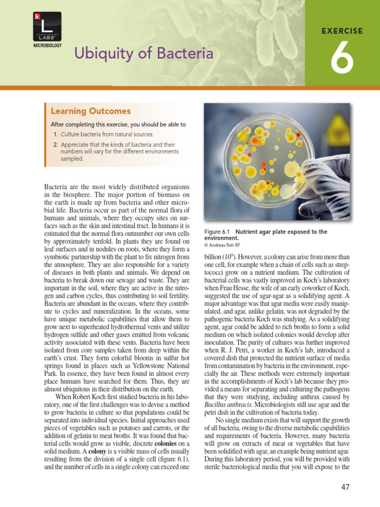 Ubiquity+of+MicrobesLab +Manual+in+Gen +micro + (2015) | PDF | Growth ...