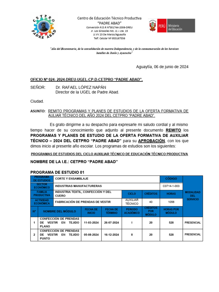 Oficio Autorización de Programas de Estudio | PDF | Ingeniería | Informática