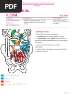 Anatomie chirurgicale du colon humain | PDF | Gros intestin | Anatomie