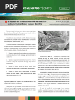 Bula - Marshal Star | PDF | Agricultura | Inseticida
