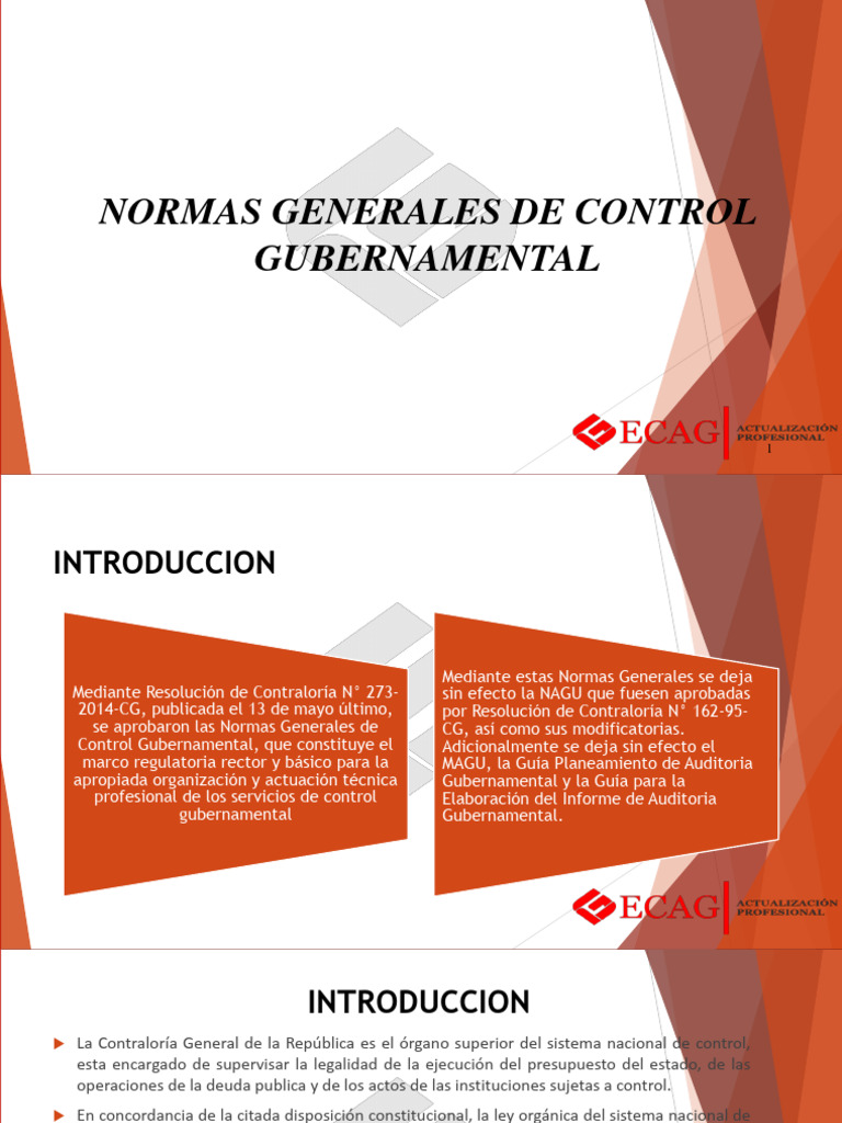 Normas Generales Del Control Gubernamental | PDF | Calidad (comercial) | Auditoría