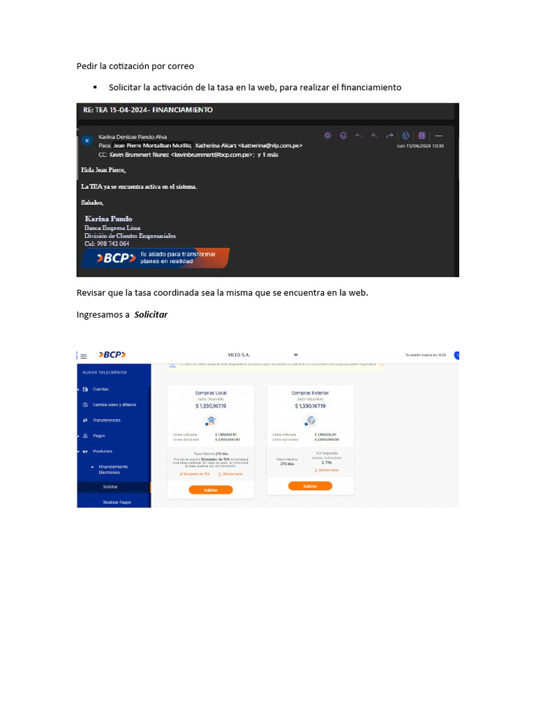 Manual Paso A Paso BCP | PDF