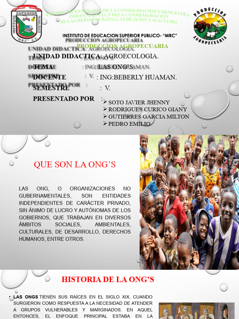 Las Ong's Expo Ing Beberly | PDF | Organización no gubernamental