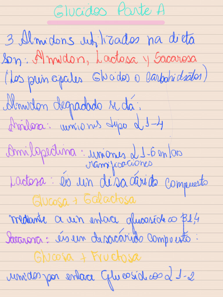 Resumo Glucidos A 230707 222127 | PDF