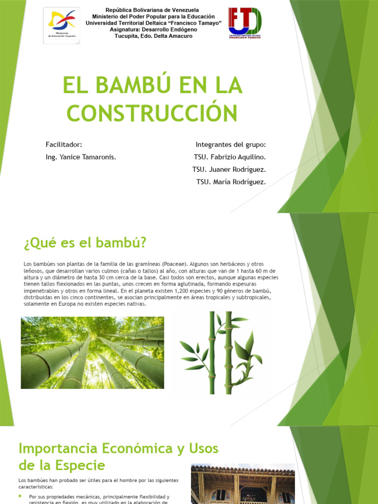 Uso del Bambú en Construcción Sismo-Resistente | PDF | Tallo de la ...