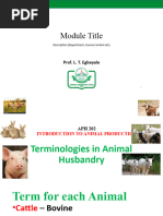 Complete Animal Terminology Chart | PDF
