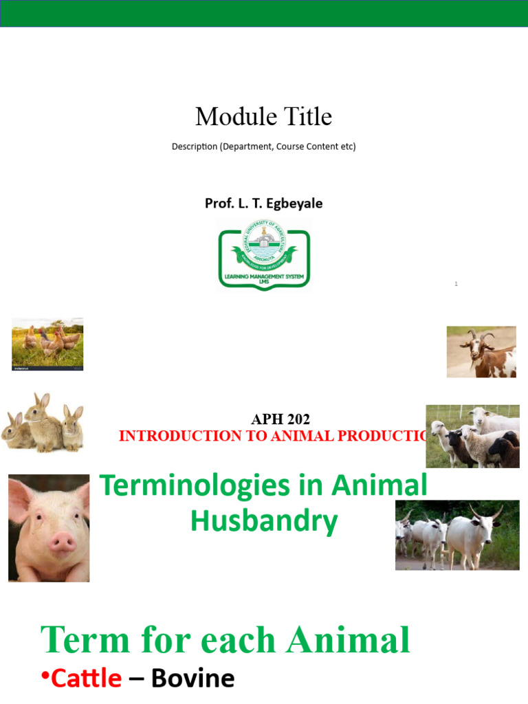 Animal Production Terminology Guide | PDF | Sheep | Chicken