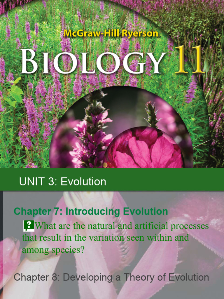 Evolution - Review Concepts - PPT | PDF | Evolution | Adaptation