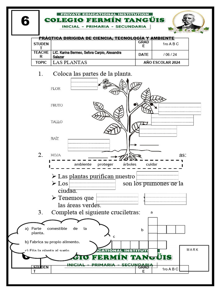 Actividades sobre las Plantas para 1ro A B C | PDF | Plantas | Botánica