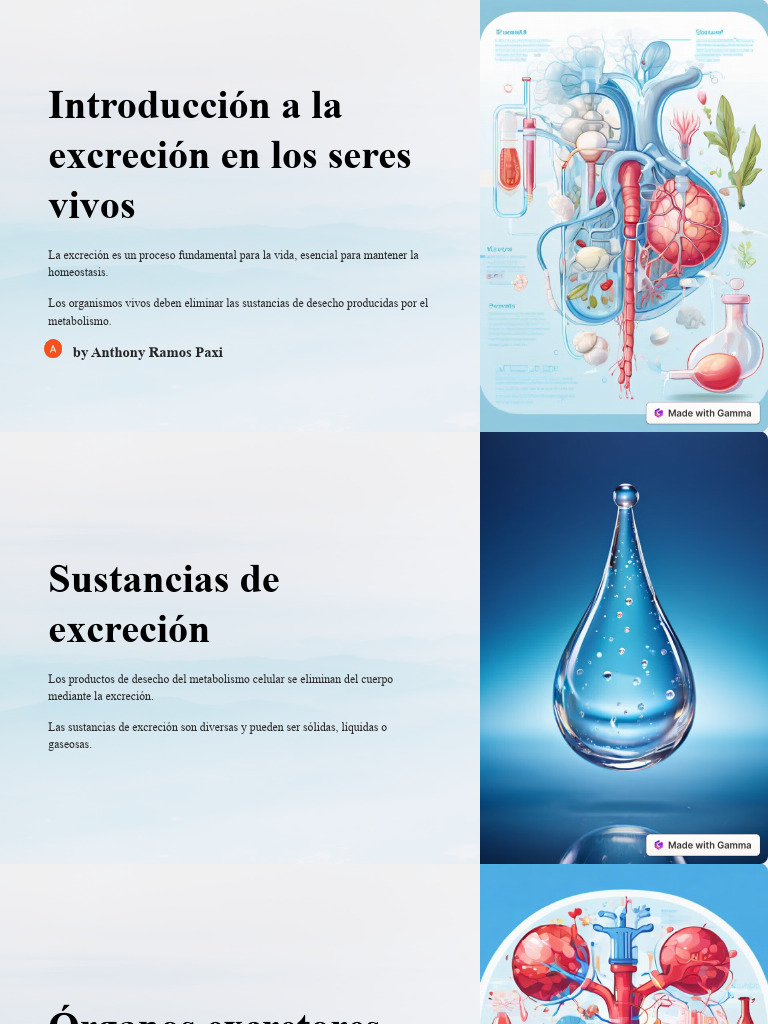 Introduccion A La Excrecion en Los Seres Vivos | PDF | Excreción | Orina