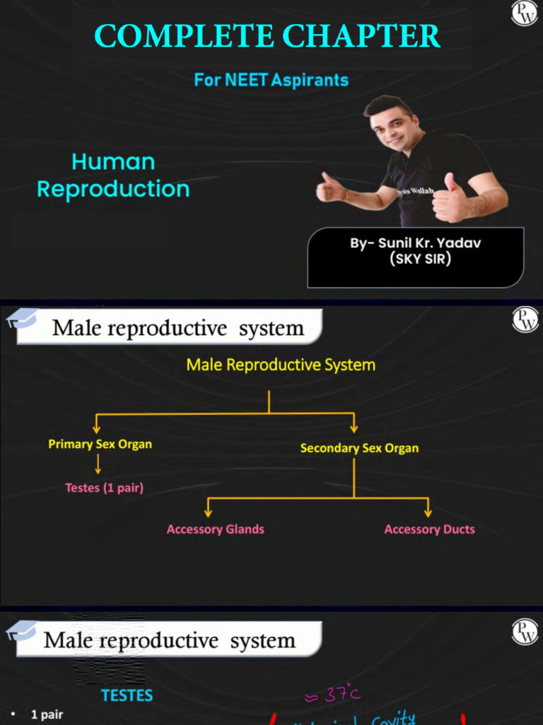 Human Reproduction _ Class Notes __ Neet Mindmap | PDF