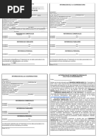 Formato Amda PF | PDF