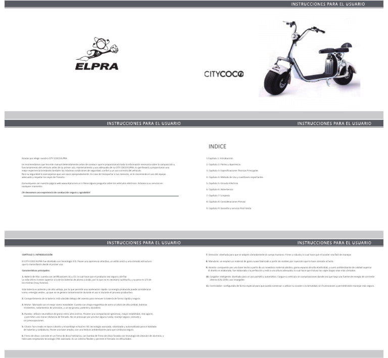 citycoco-ficha-tecnica | Descargar gratis PDF | Cargador de batería ...