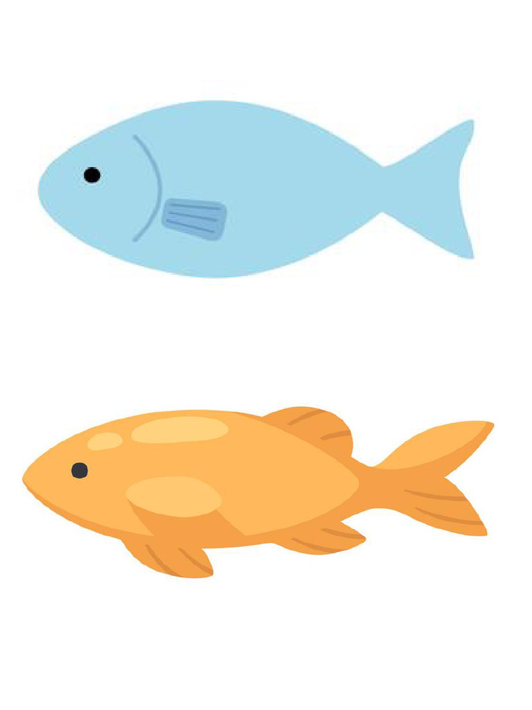 FISH | PDF