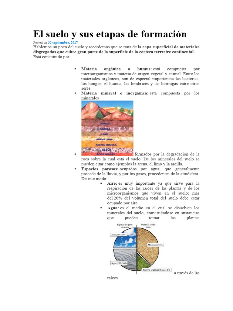 Formación y Composición del Suelo | PDF | Suelo | Ciencias de la Tierra