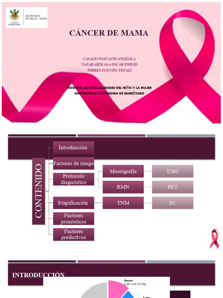 CA Mama | PDF | Cáncer de mama | Cáncer