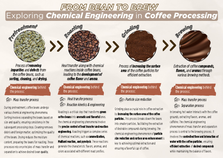 OH Coffee Processing | PDF | Coffee | Physical Sciences