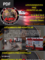 Manual APH 2024 | PDF