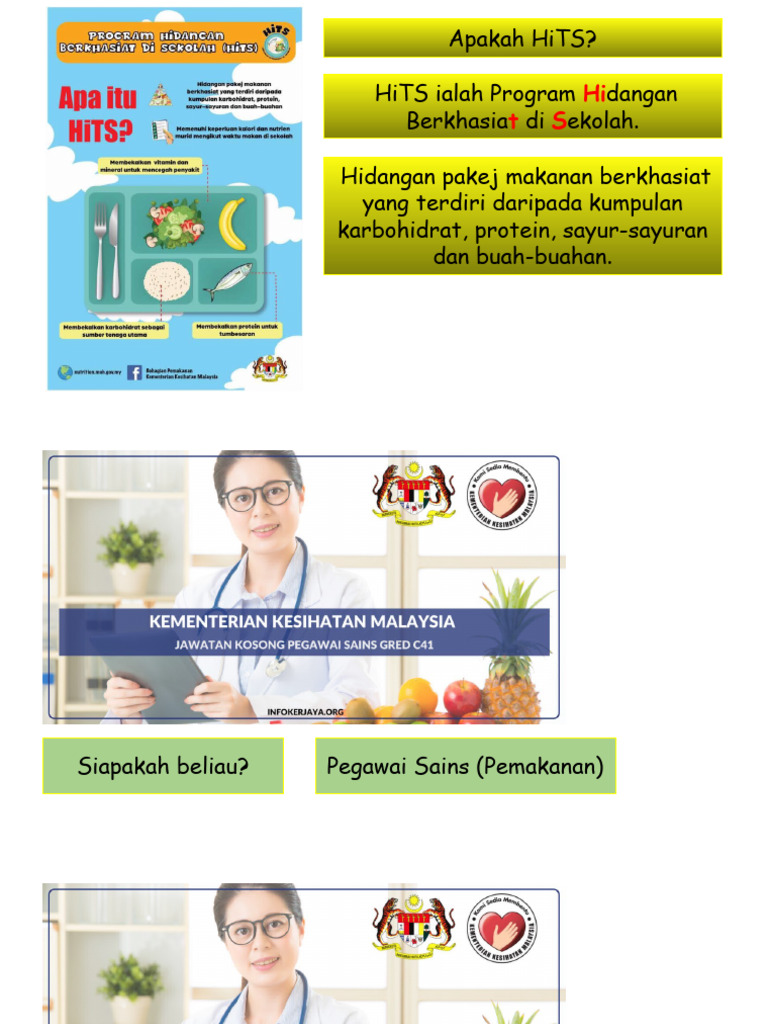 3.program HiTS | PDF