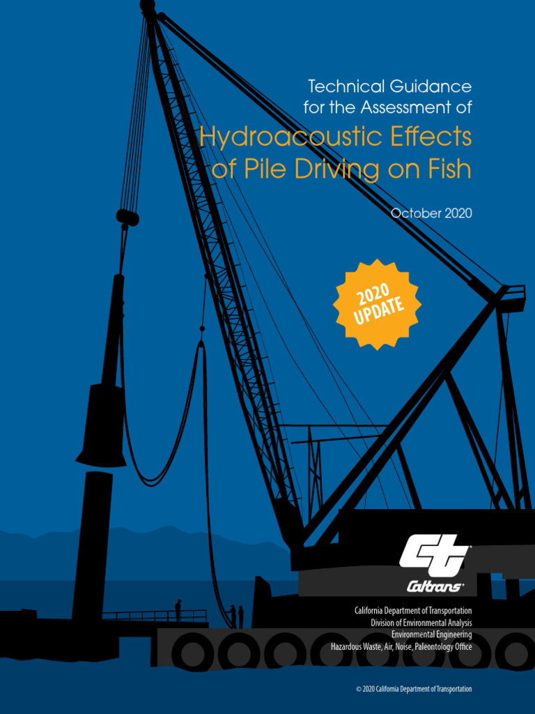 Effects Pile Driving Fish | PDF | Sound | Decibel