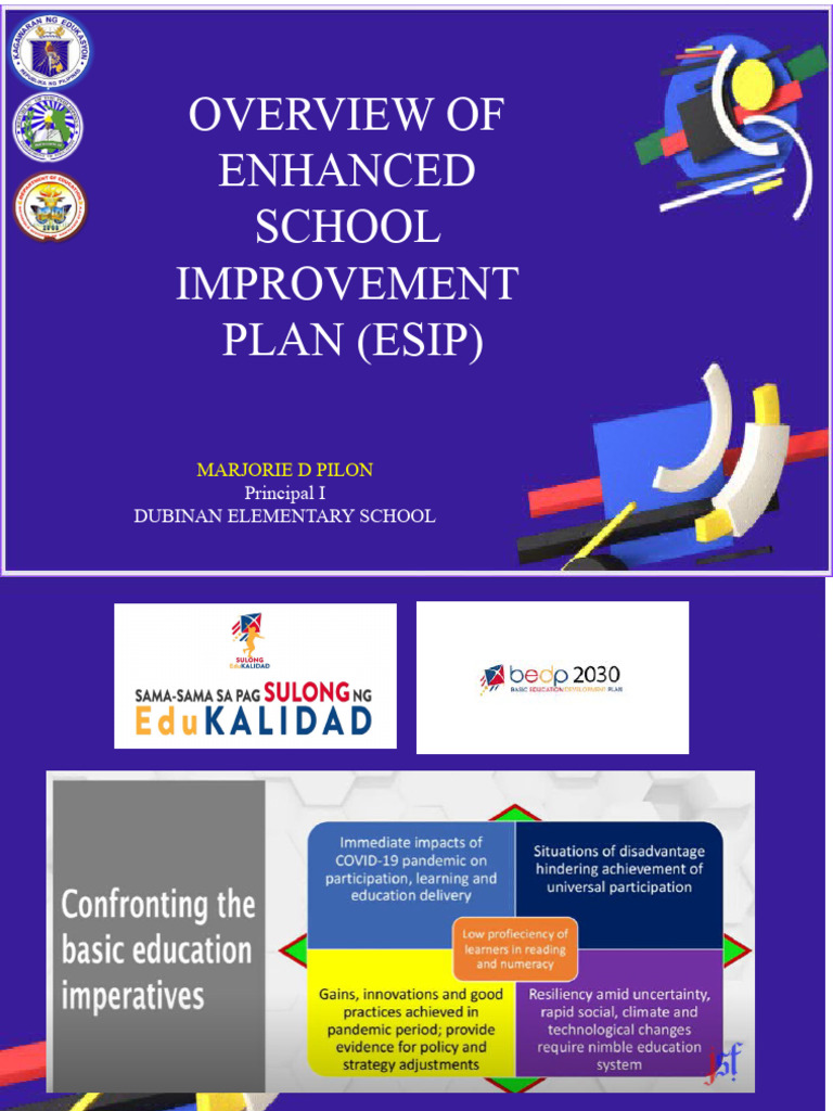 Overview of The ESIP | PDF | Performance Indicator | Risk