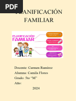 Maqueta Planifiacion Familiar | PDF | Control de la natalidad | Condón