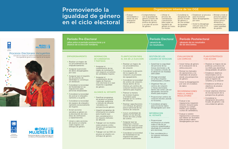Inclusive Electoral Processes Poster Es | PDF | Votación