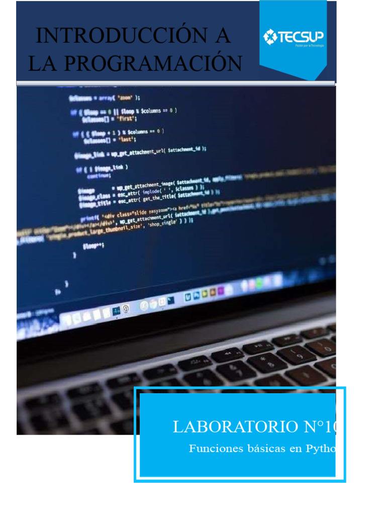 Laboratorio10 Funciones en Python | Descargar gratis PDF | Python ...