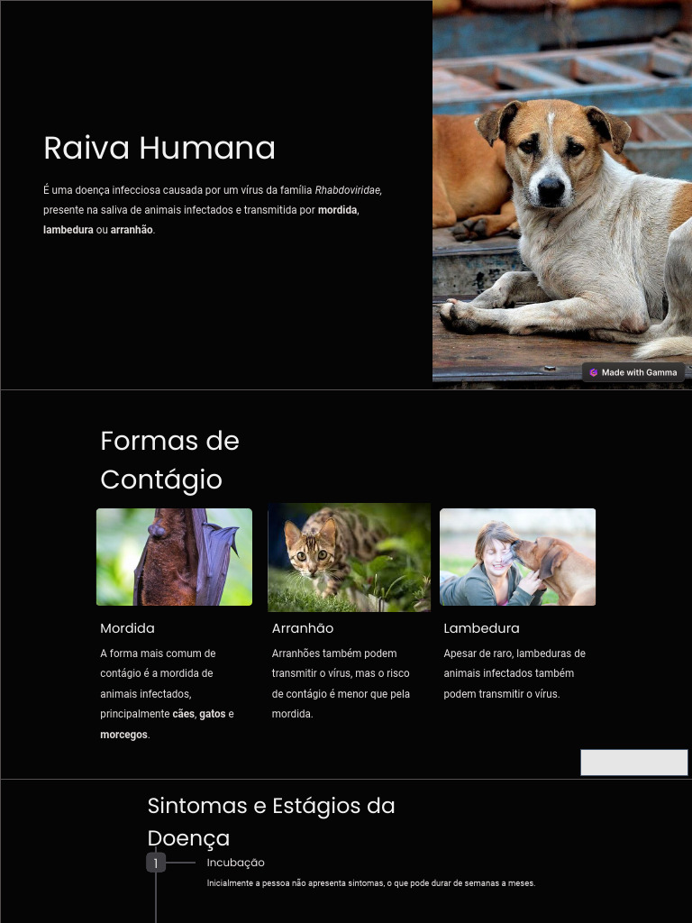 Raiva Humana: Contágio, Sintomas e Prevenção | PDF | Raiva | Doenças e ...