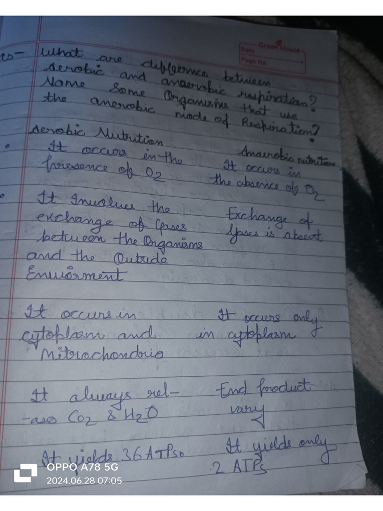 Difference Between Aerobic and Anaerobic | PDF