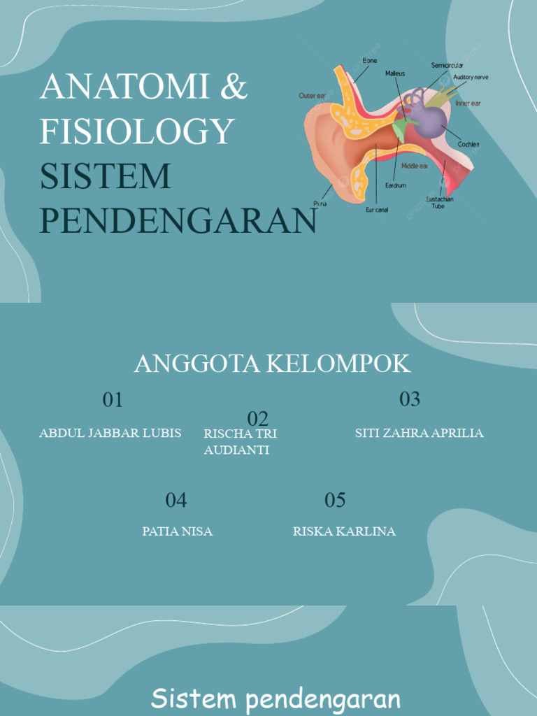 ANATOMY FISIOLOGI SISTEM PENDENGARAN[1] | PDF