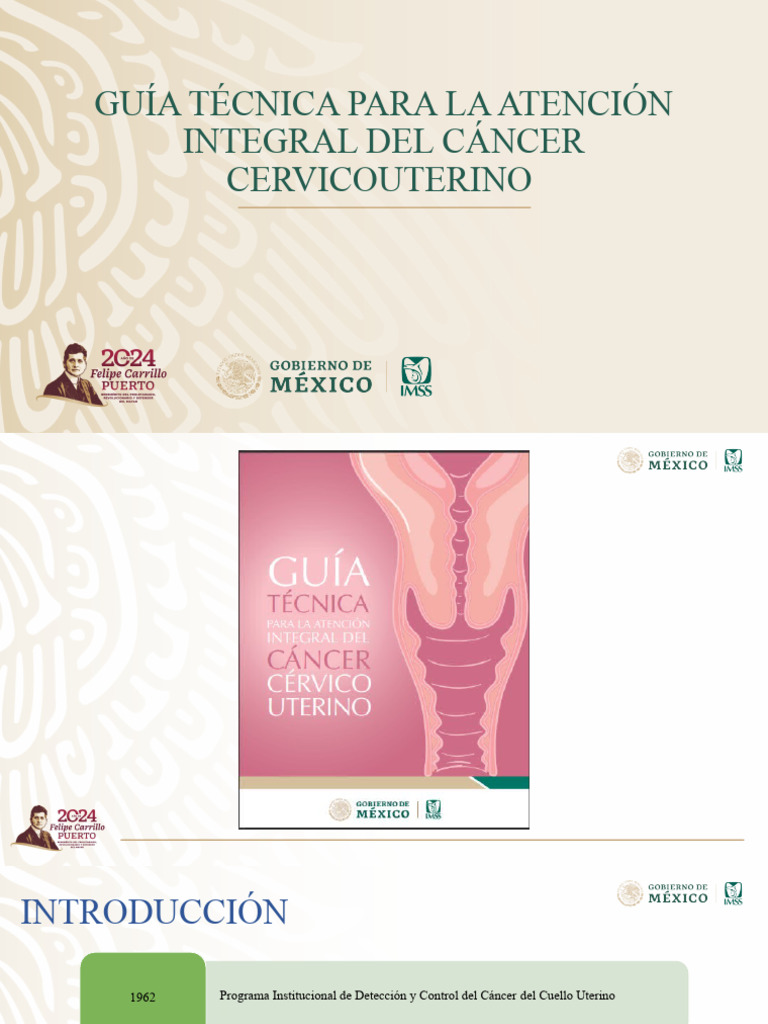GUIA TECNICA CACU Mayra | PDF | Cáncer de cuello uterino | Ciencias de ...