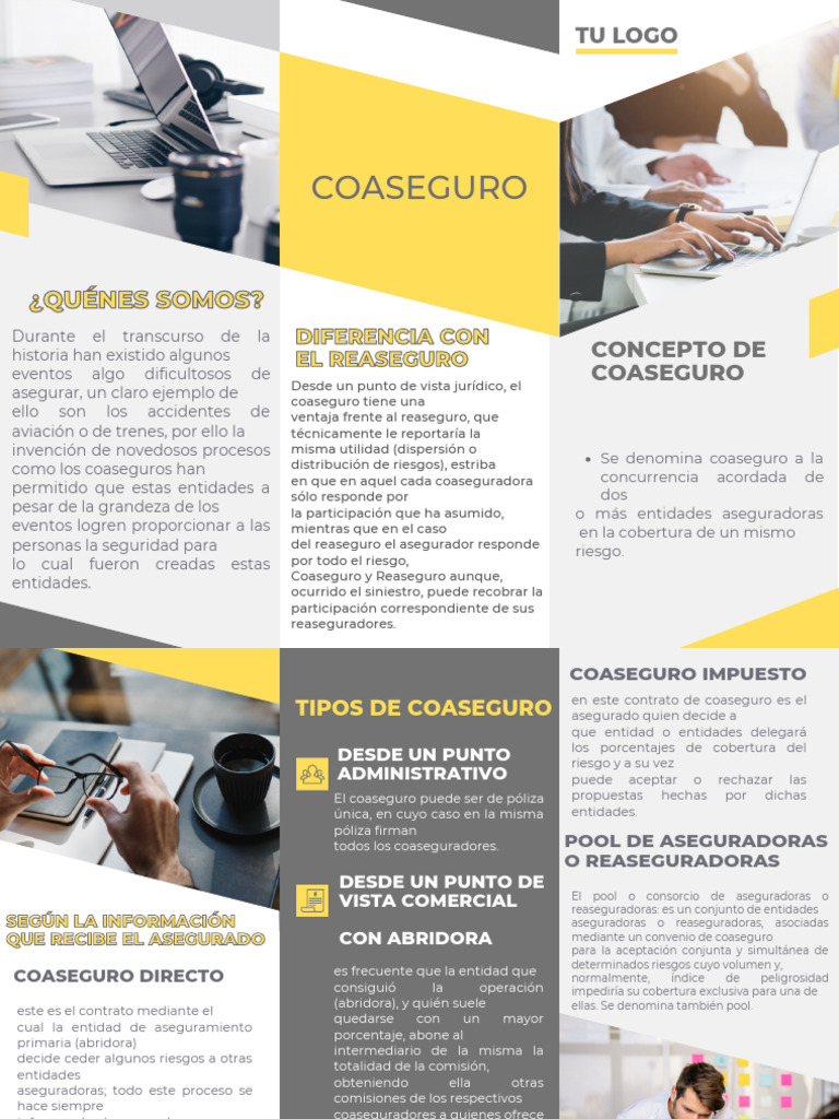 Coaseguros | PDF | Reaseguro | Seguro