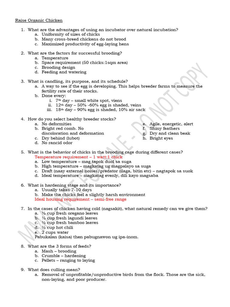 OAP Questions - Organic Chicken | PDF | Chicken | Birds