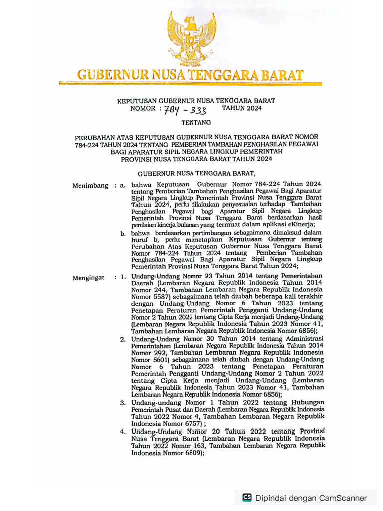 784 - 333 TAHUN 2024 | PDF
