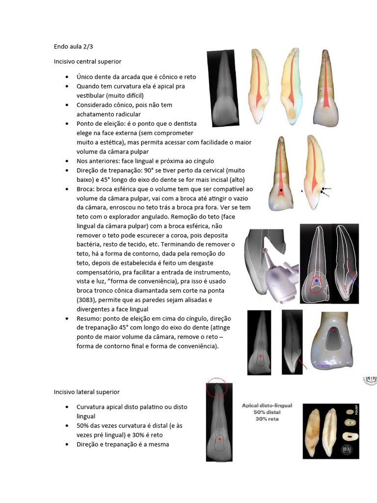 Endo | PDF | Dente humano | Boca