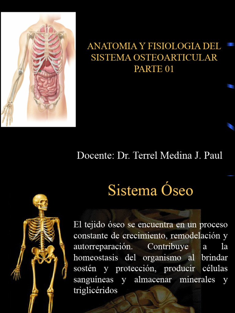 ANAT. Y FISIOLOGIA DEL SISTEMA OSTEOARTICULAR PARTE 01- CLASE 07 ...