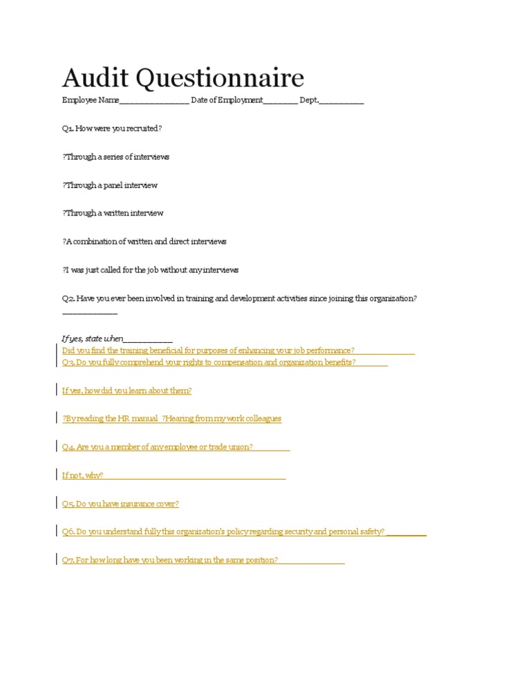 Audit Questionnaire | PDF