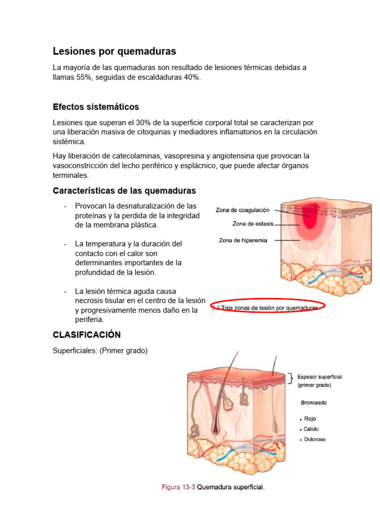 Lesiones Por Quemaduras Trauma | PDF | Quemar | Enfermedades y trastornos