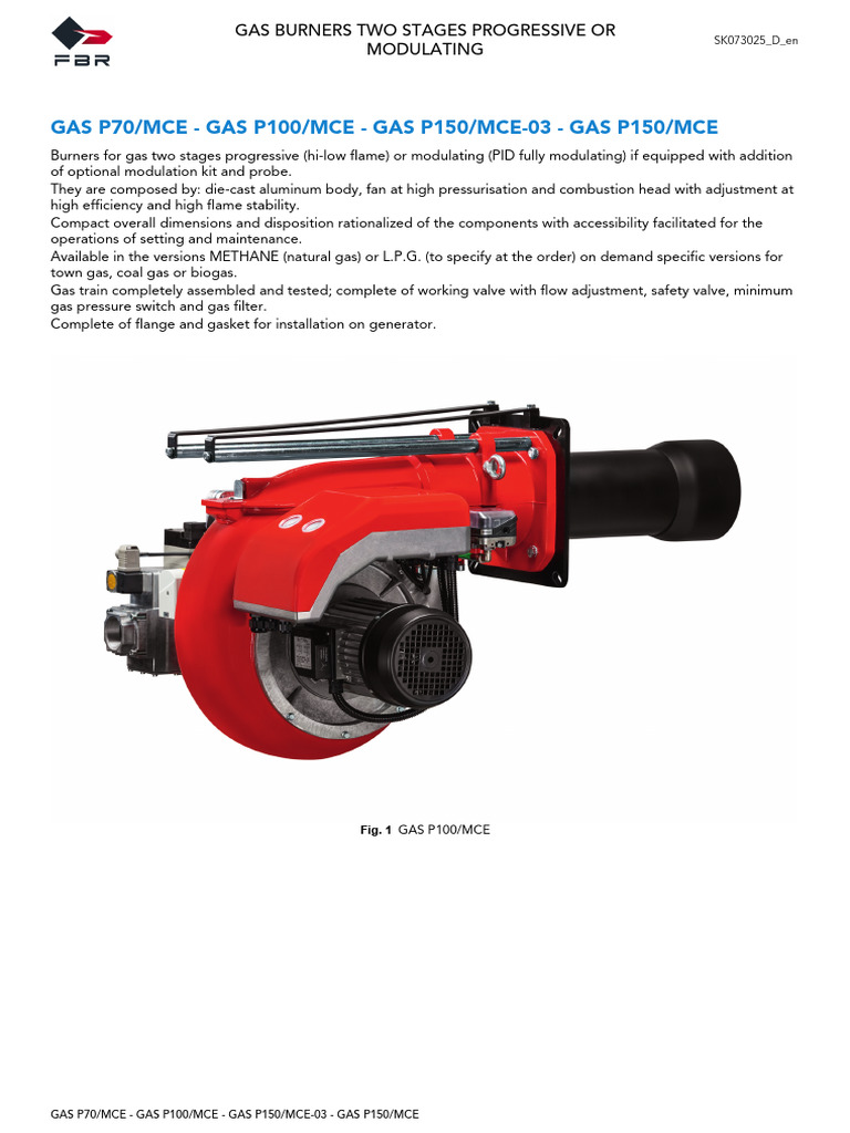 FBR Gas P 100, 150 | PDF | Liquefied Petroleum Gas | Combustion