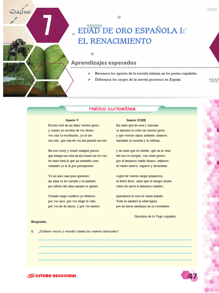 Literatura Cap 7 | PDF | Poesía