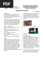 Pig Farming Layout and Planning Guide | PDF | Livestock | Domestic Pig