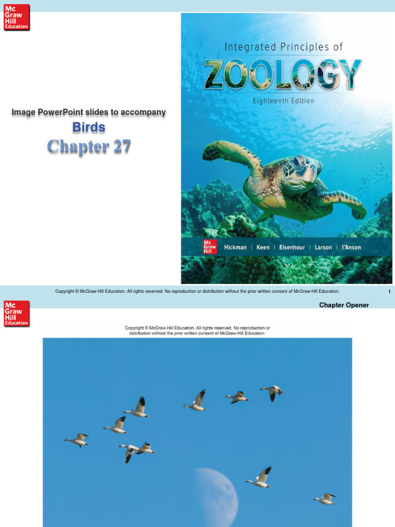 Hickman Et Al Birds Ch27 - Image - PPT | PDF | All Rights Reserved | Business Law