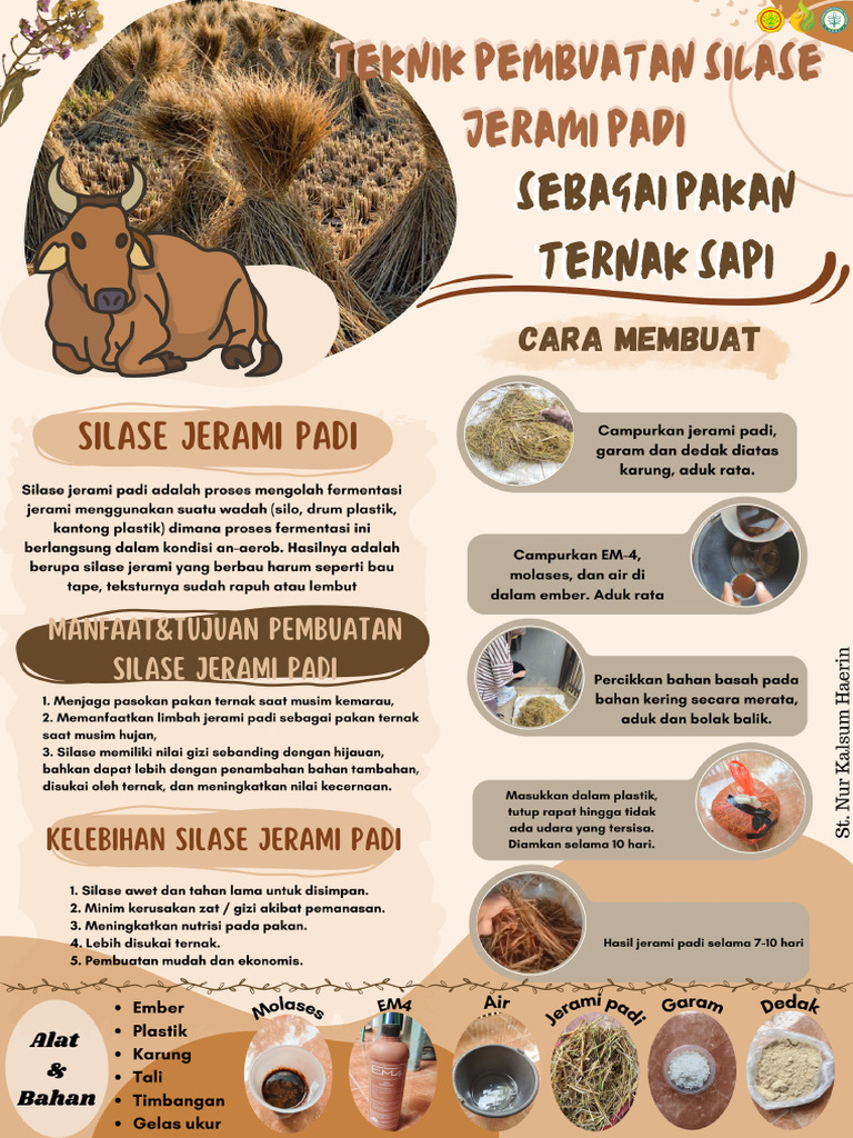 Poster Penyuluhan Pertanian Silase Jerami Padi | PDF